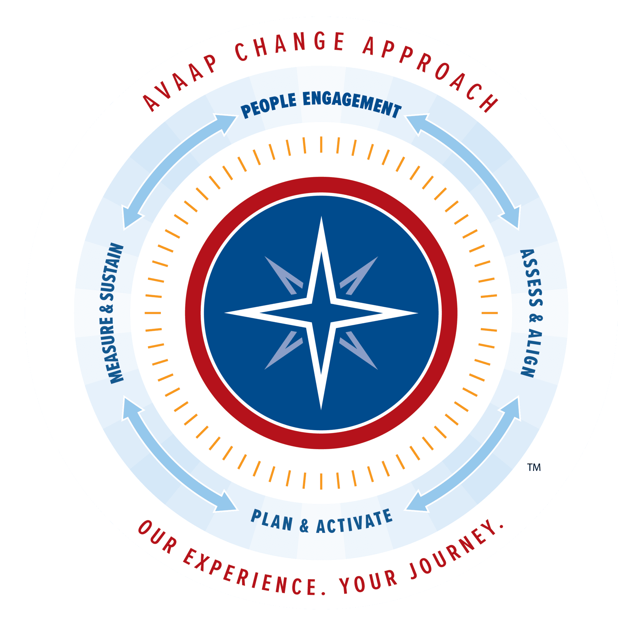 Four Years of the Avaap Change Academy: What We’ve Learned | Avaap